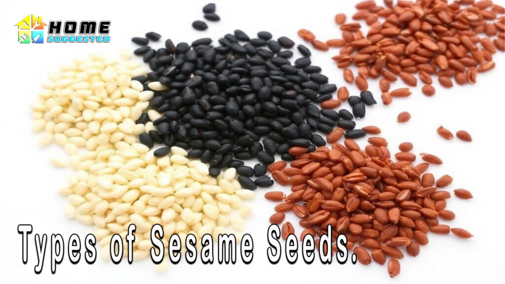 Sesame Plant: A Guide to Cultivation, Types, Benefits, and Uses